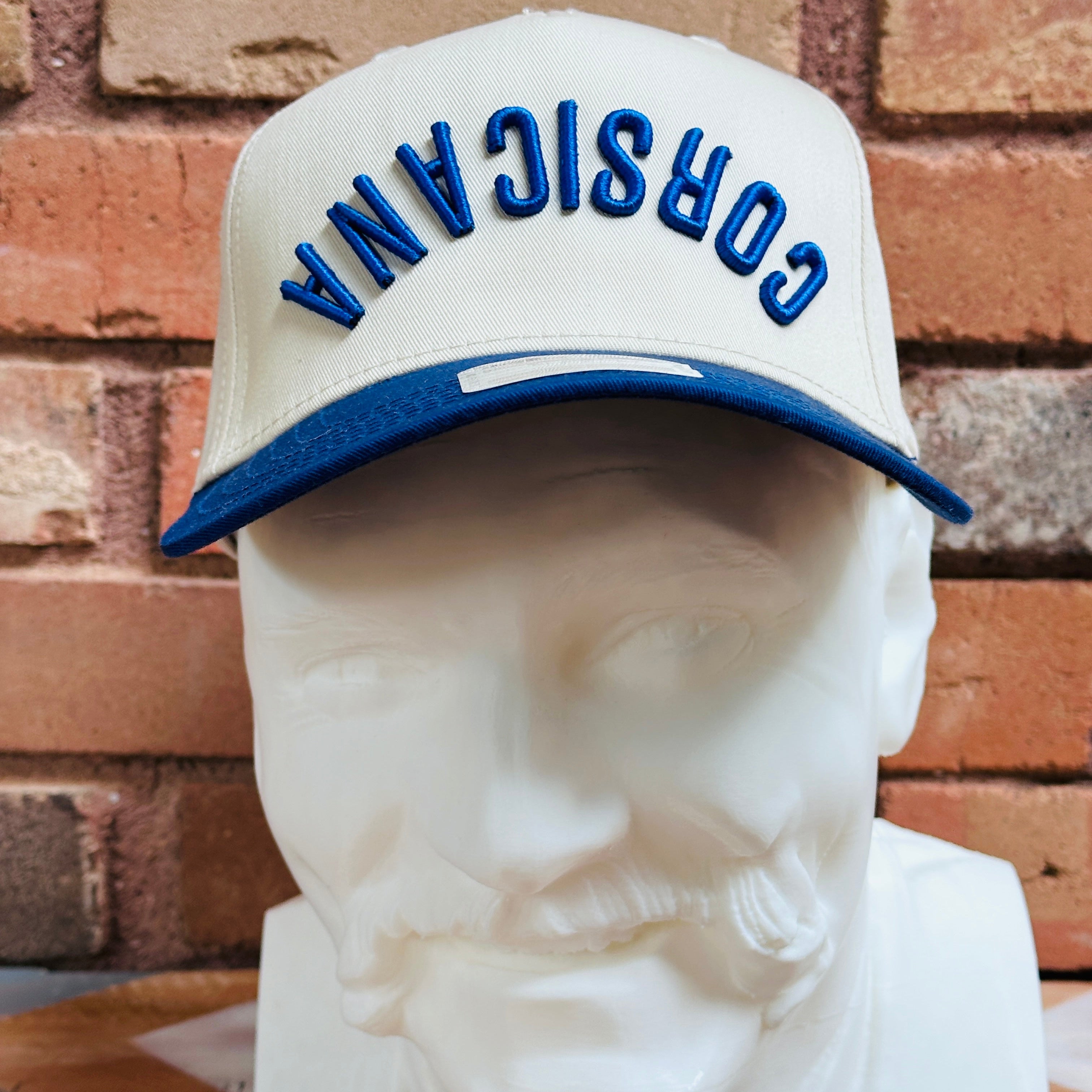 Corsicana Upside Down 3D Puff Embroidered Hat – The Threaded Stache